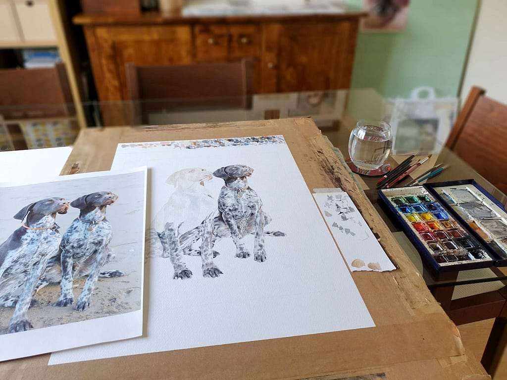 Commission a Portrait | How to Order | Your questions answered